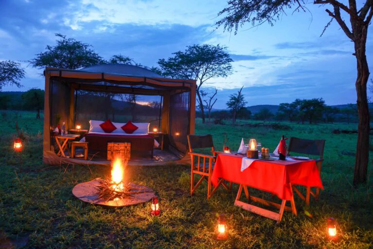Where Comfort Meets Luxury: Asanja Africa's Serengeti Camps