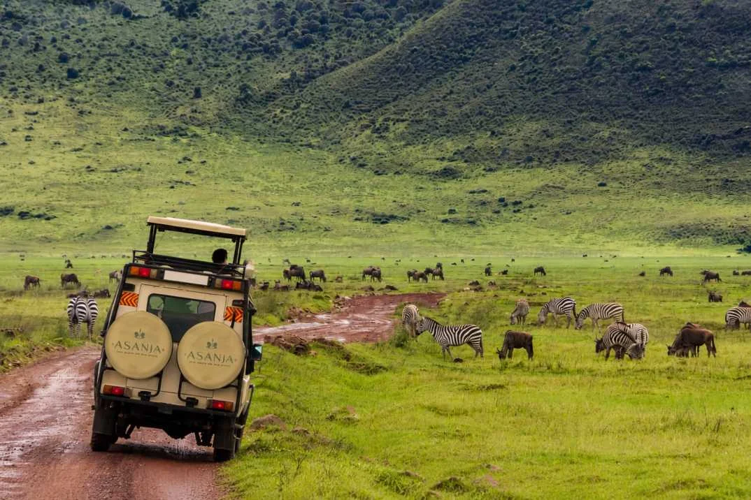 Serengeti National Park: Complete Safari Guide (2026)
